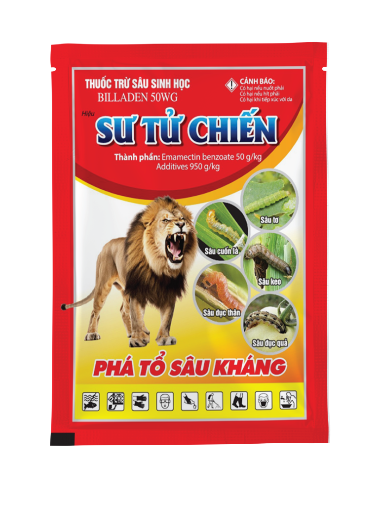 SƯ TỬ CHIẾN - Congtyhoangphat.vn
